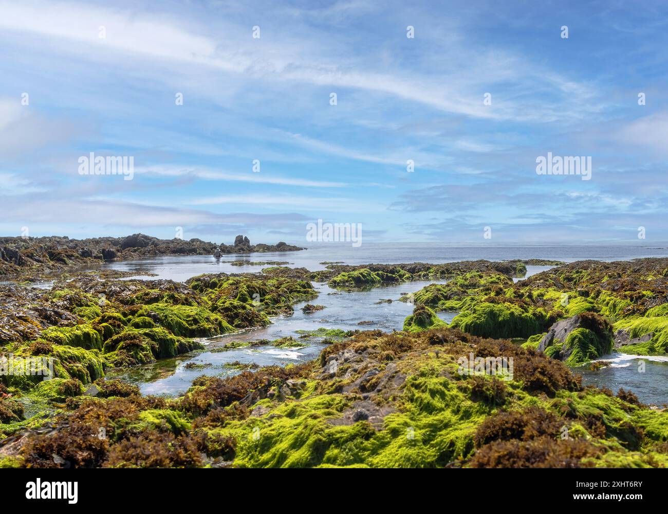 Thurlestone coastal hi-res stock photography and images - Alamy