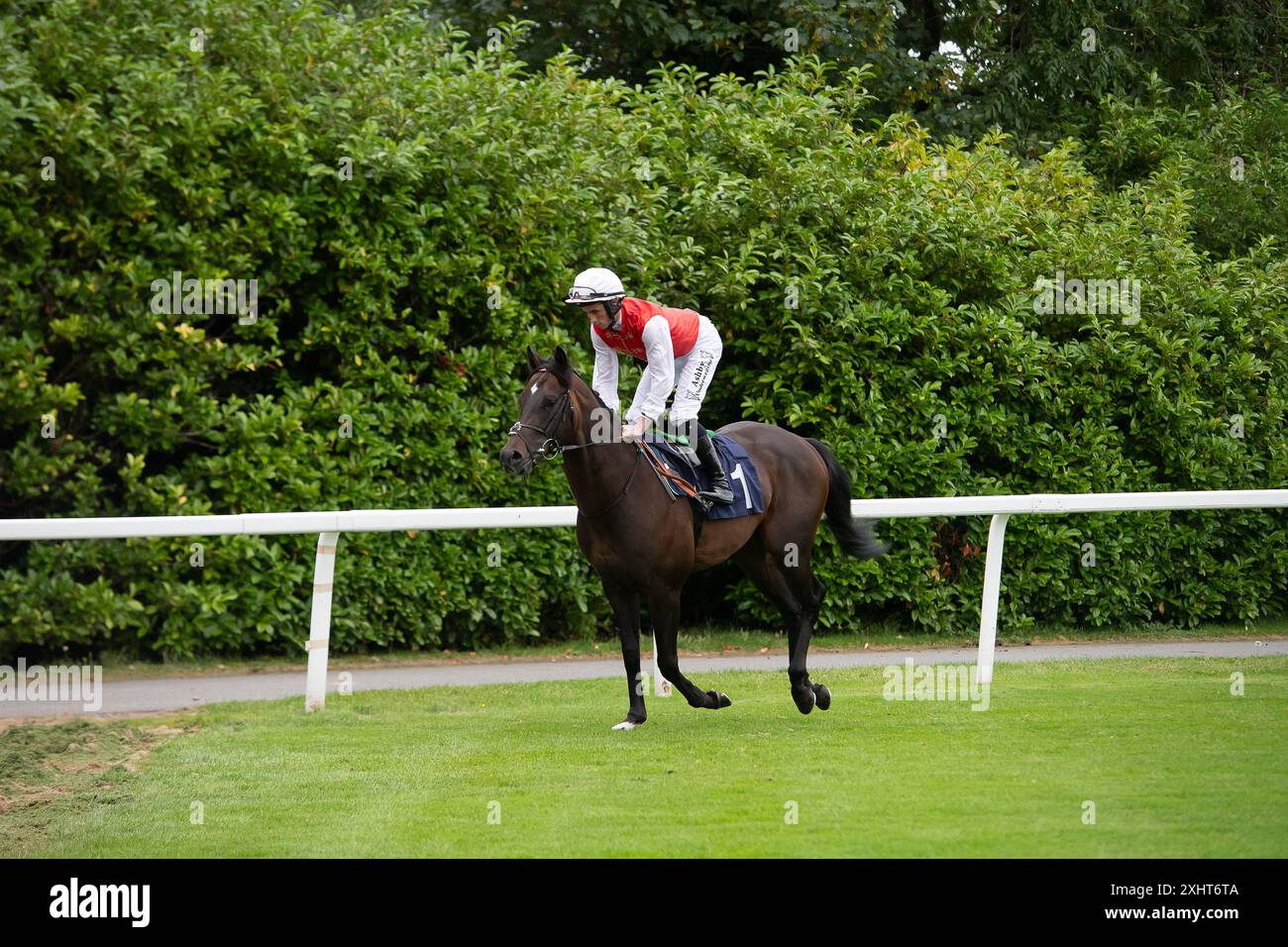 Windsor, Berkshire, UK. 15th July, 2024. Horse Aparajeo ridden by ...