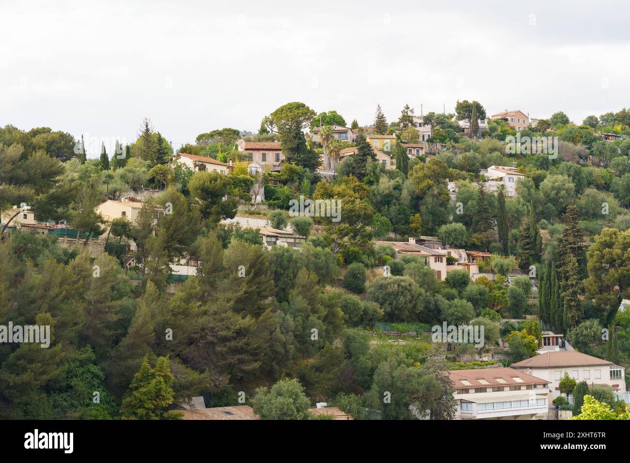 A scenic view of a hillside covered in lush greenery with scattered ...