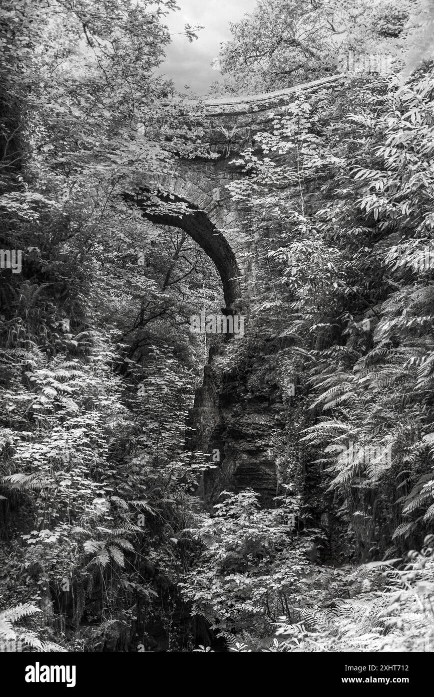 Walk through lydford gorge hi-res stock photography and images - Alamy