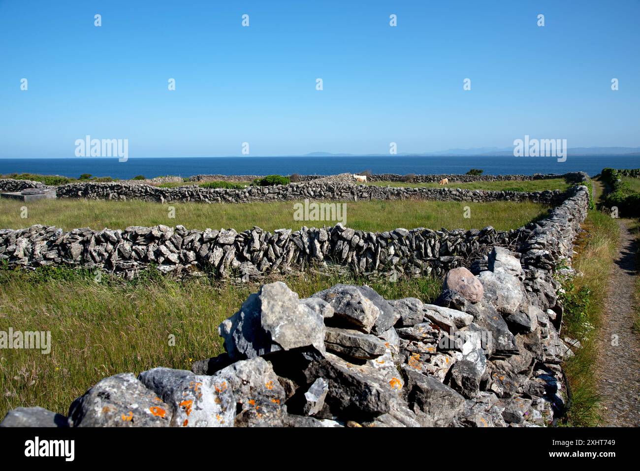 Beautiful landscape Inishmore on Aran Island with stone walls on the ...