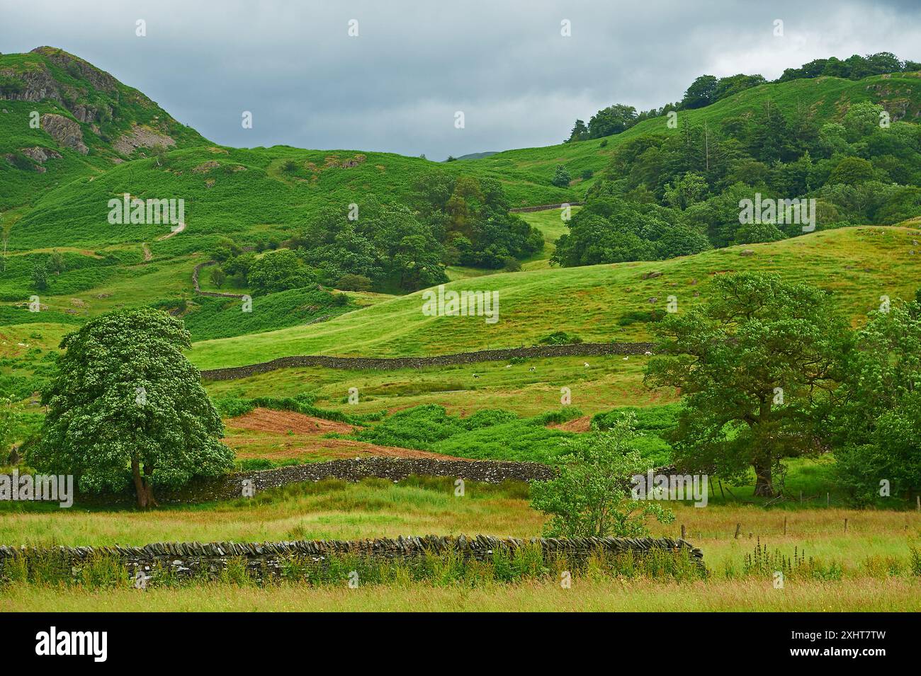 Langdale Valley landscape scene in the Lake District Stock Photo - Alamy
