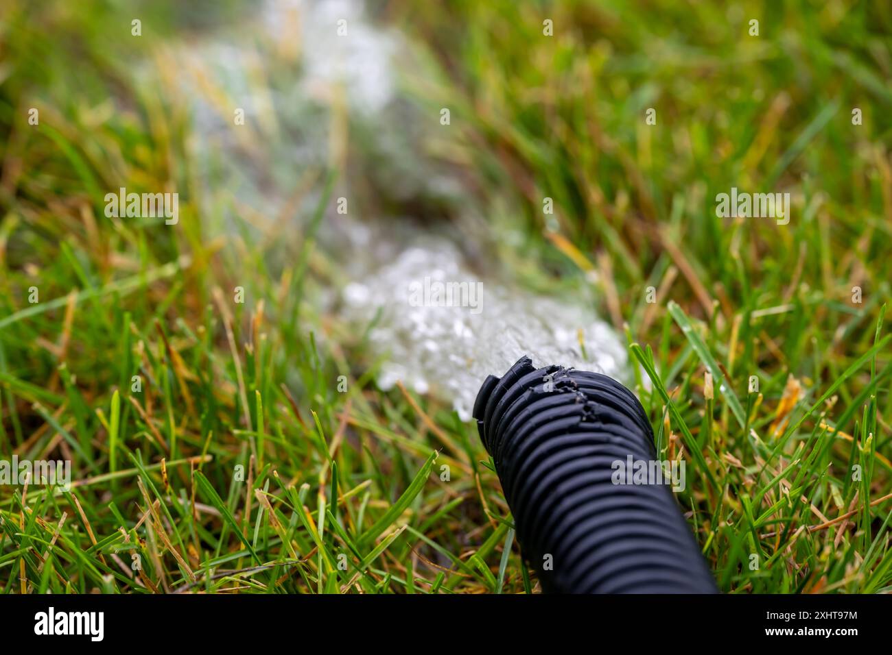 Residential sump pump drain line discharging water into grass yard ...