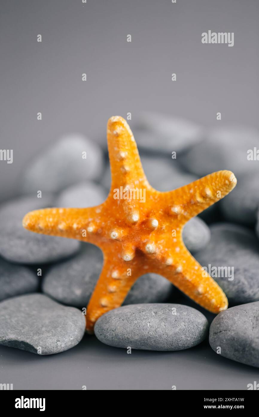 Gray pebbles and starfish texture. Marine background in orange-gray ...