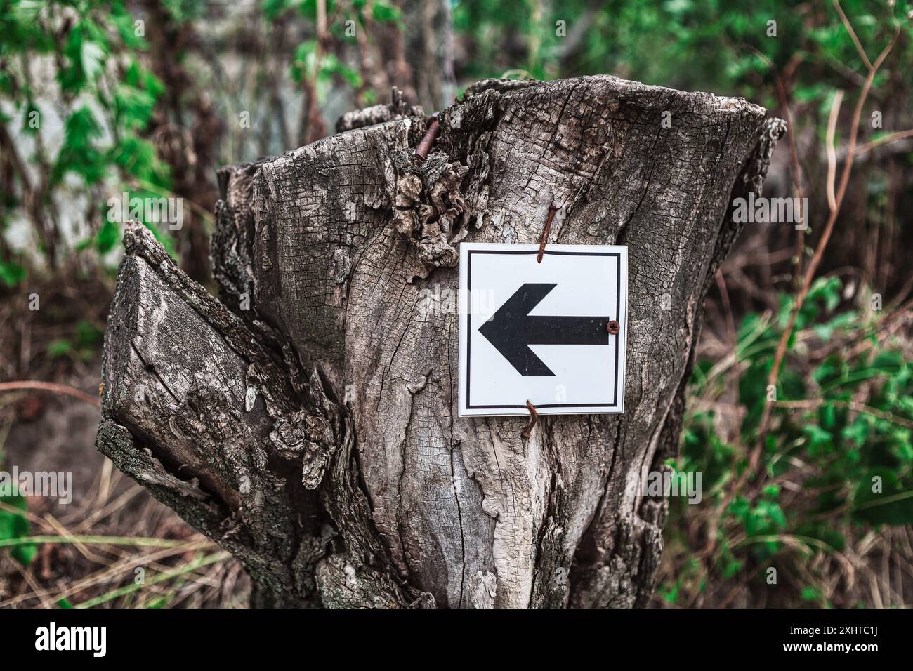 Arrow sign pointing to the left is attached to a tree trunk Stock Photo ...