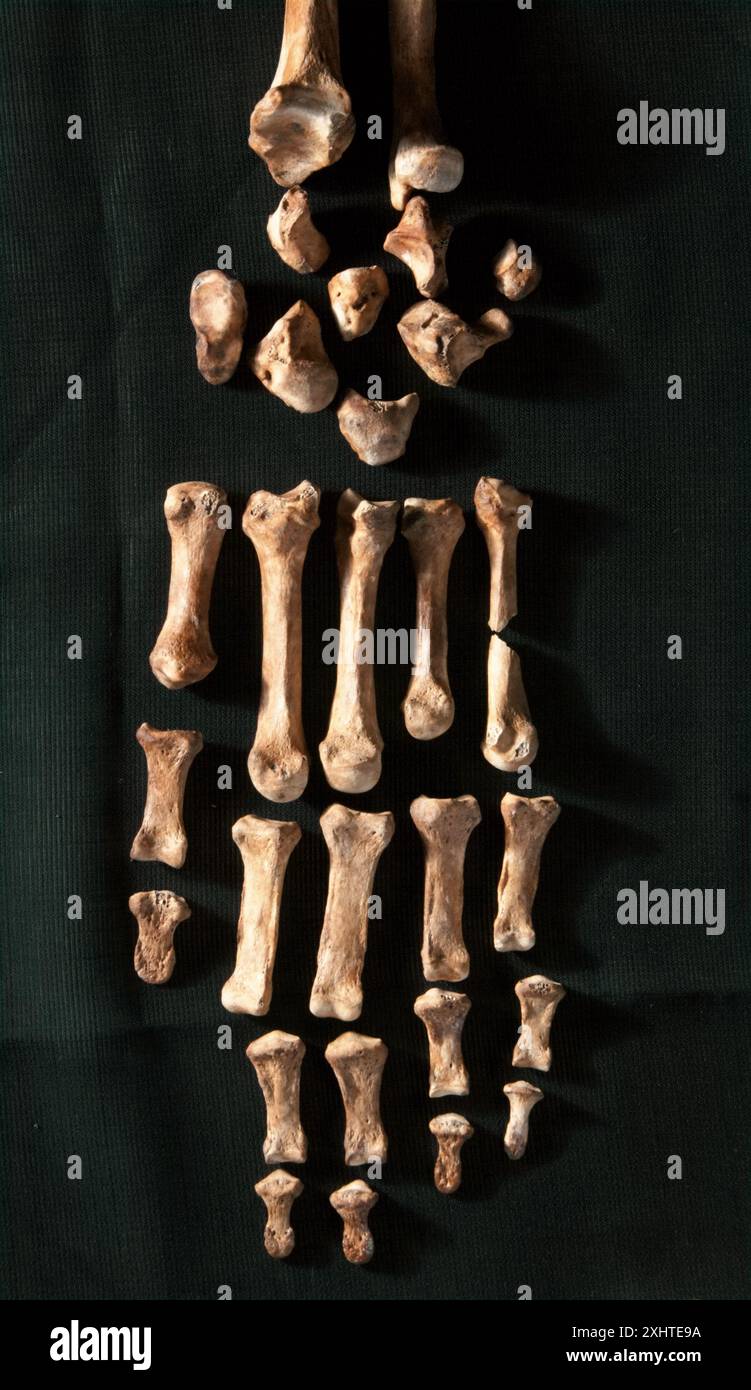 Indonesia history and culture hi-res stock photography and images - Alamy