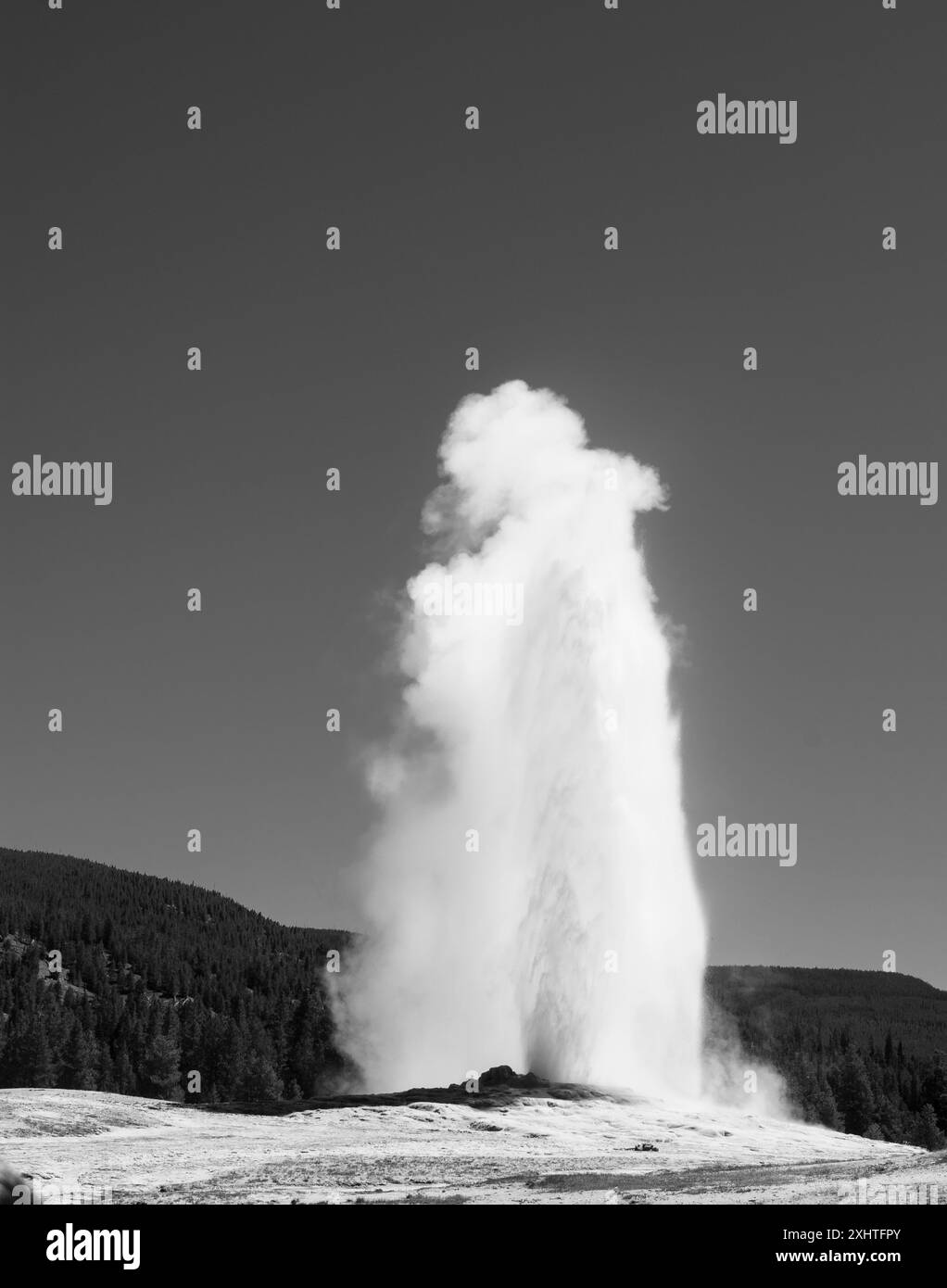 old faithful geyser eruption at Yellowstone National Park, with a clear ...