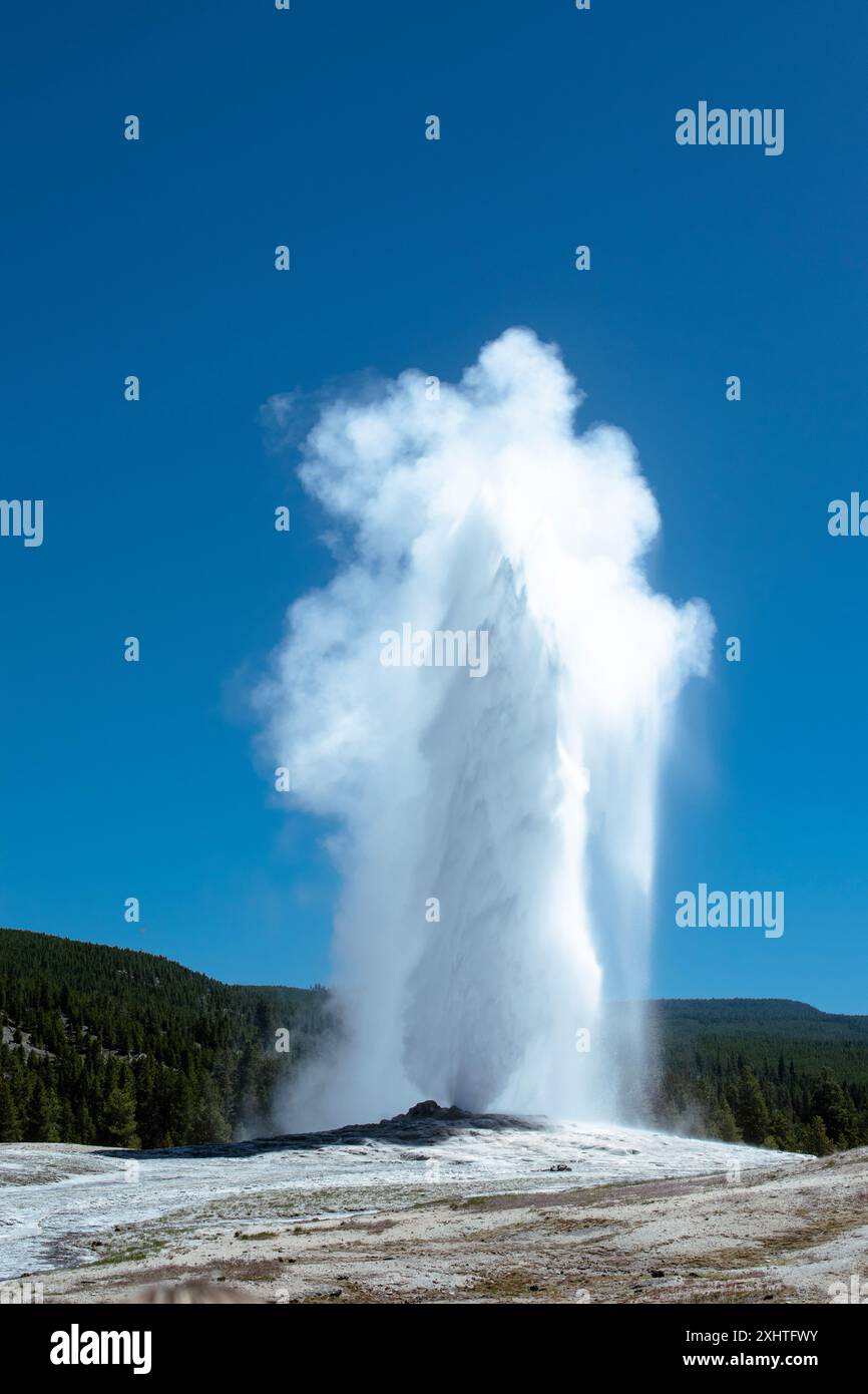 old faithful geyser eruption at Yellowstone National Park, with a clear ...