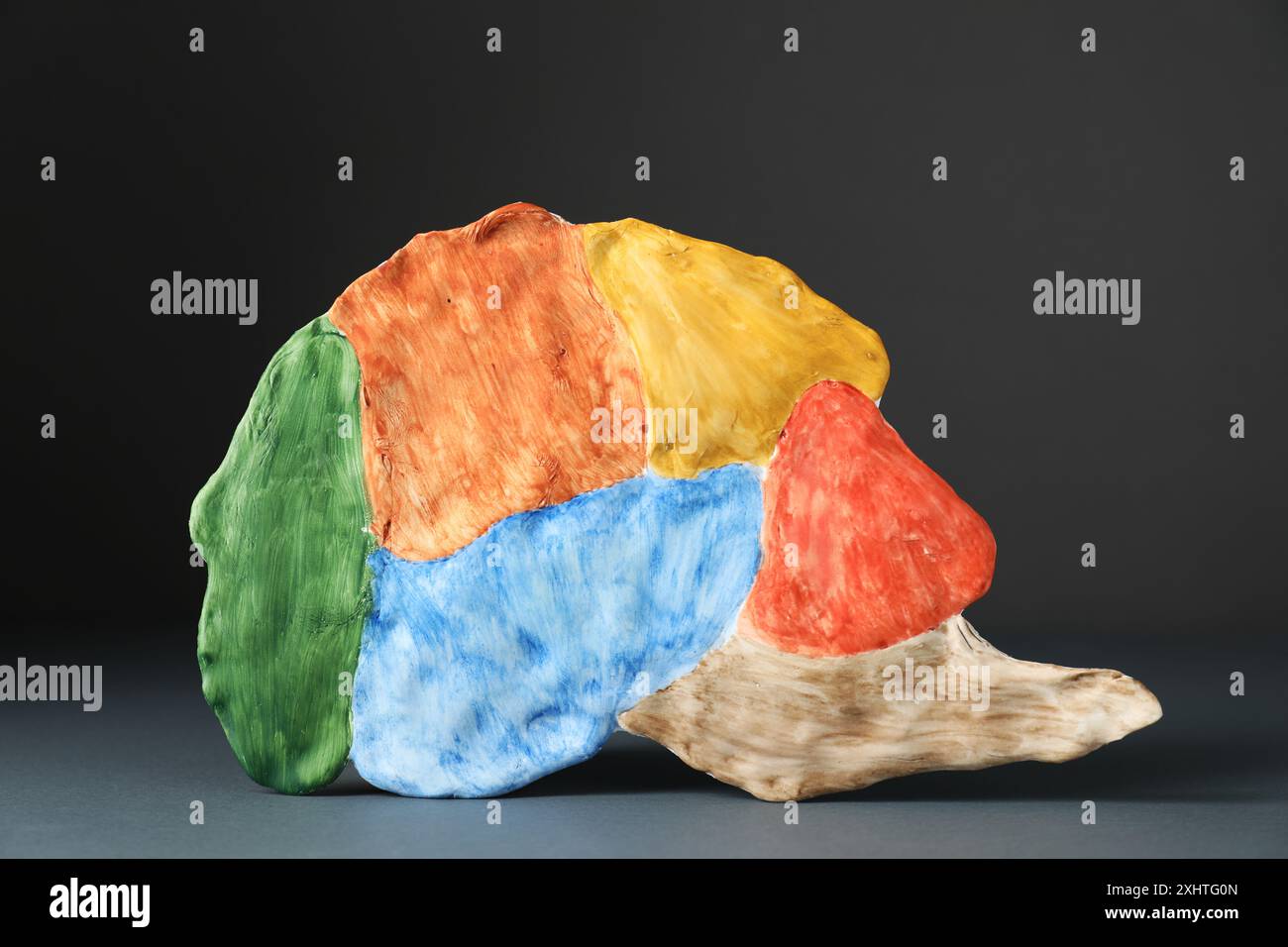 Amnesia problem. Brain with sections on grey background Stock Photo - Alamy