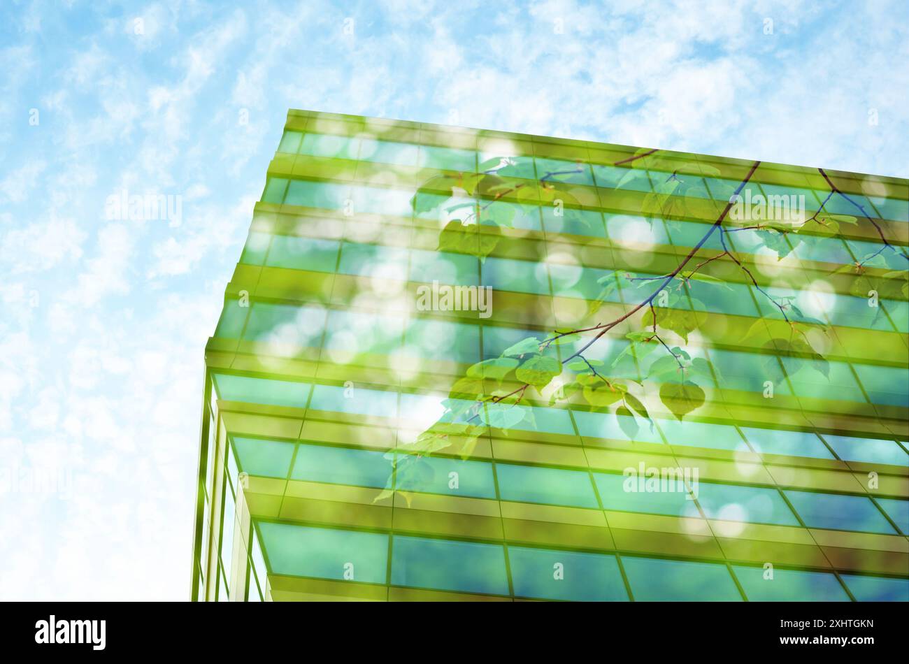 Environment. Modern building and tree branch, double exposure Stock ...