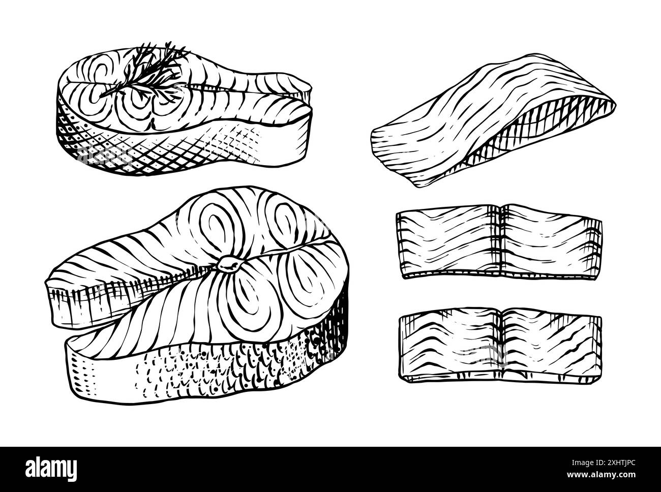 Fish sketch. Salmon fillet, ink hand drawn vector illustration. Steaks slices. Fresh product ...