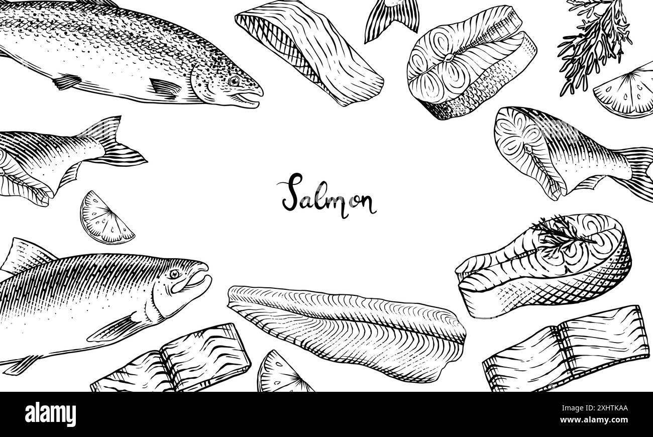 Fish sketch poster or banner. Salmon fillet, ink hand drawn vector ...