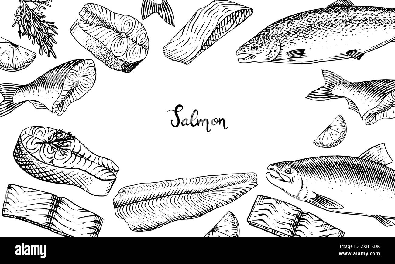 Fish sketch poster or banner. Salmon fillet, ink hand drawn vector ...