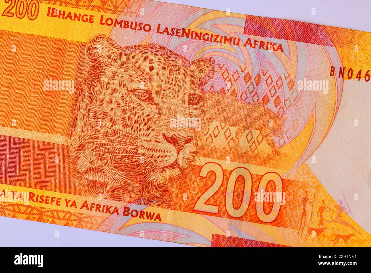 South African national bank issues 200 rand cash banknotes rear view ...