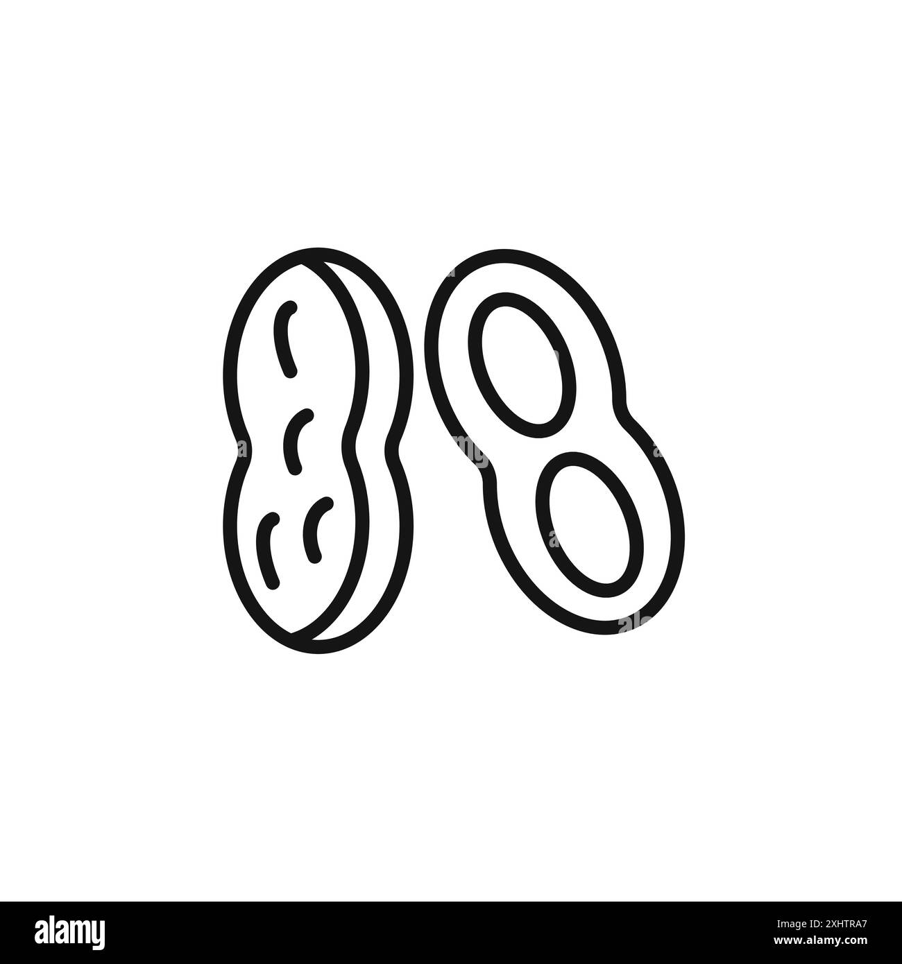 Peanut icon outline collection or set in black and white Stock Vector ...