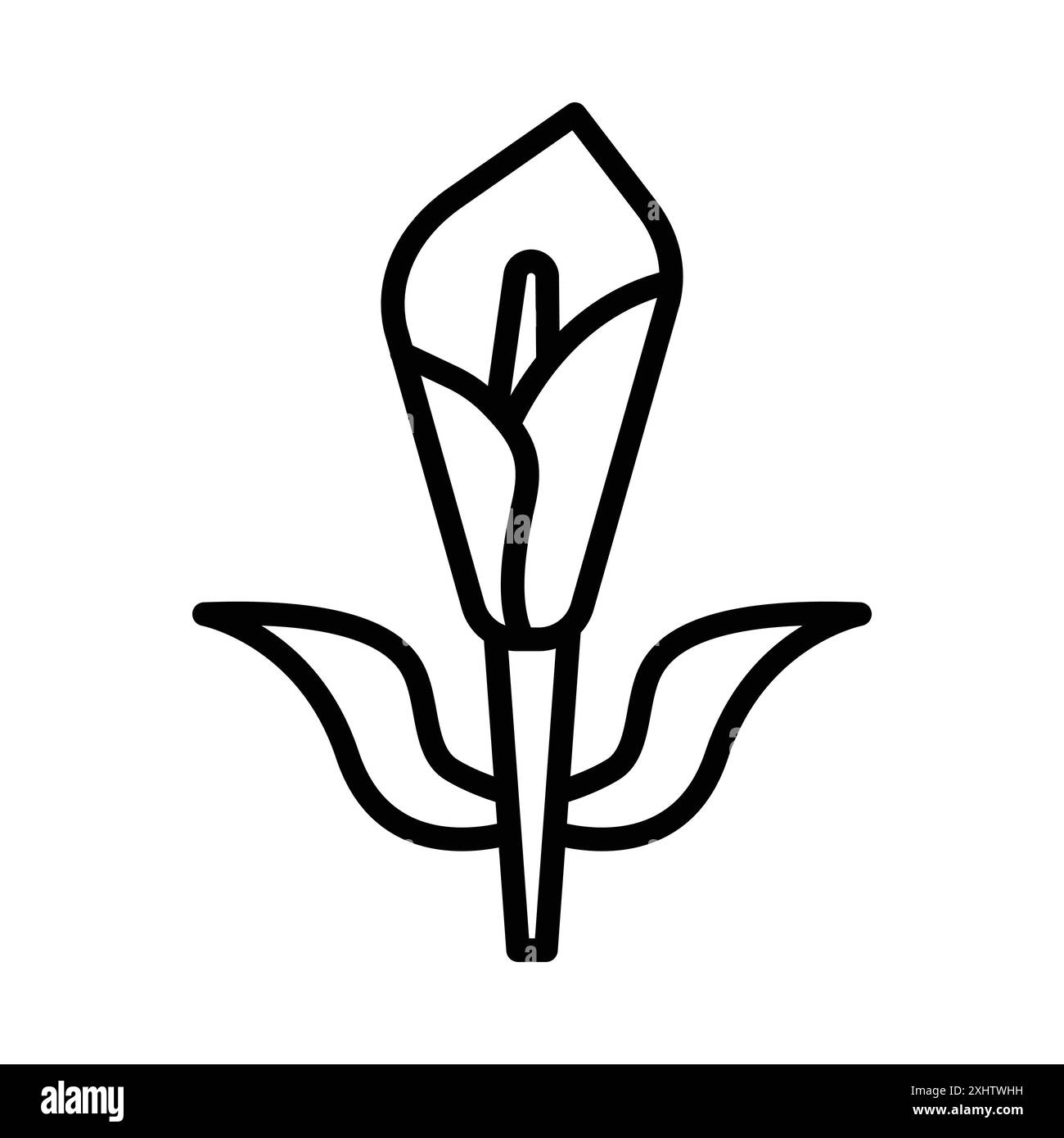 Calla Icon Linear Logo Mark Set Collection In Black And White For Web Stock Vector Image And Art