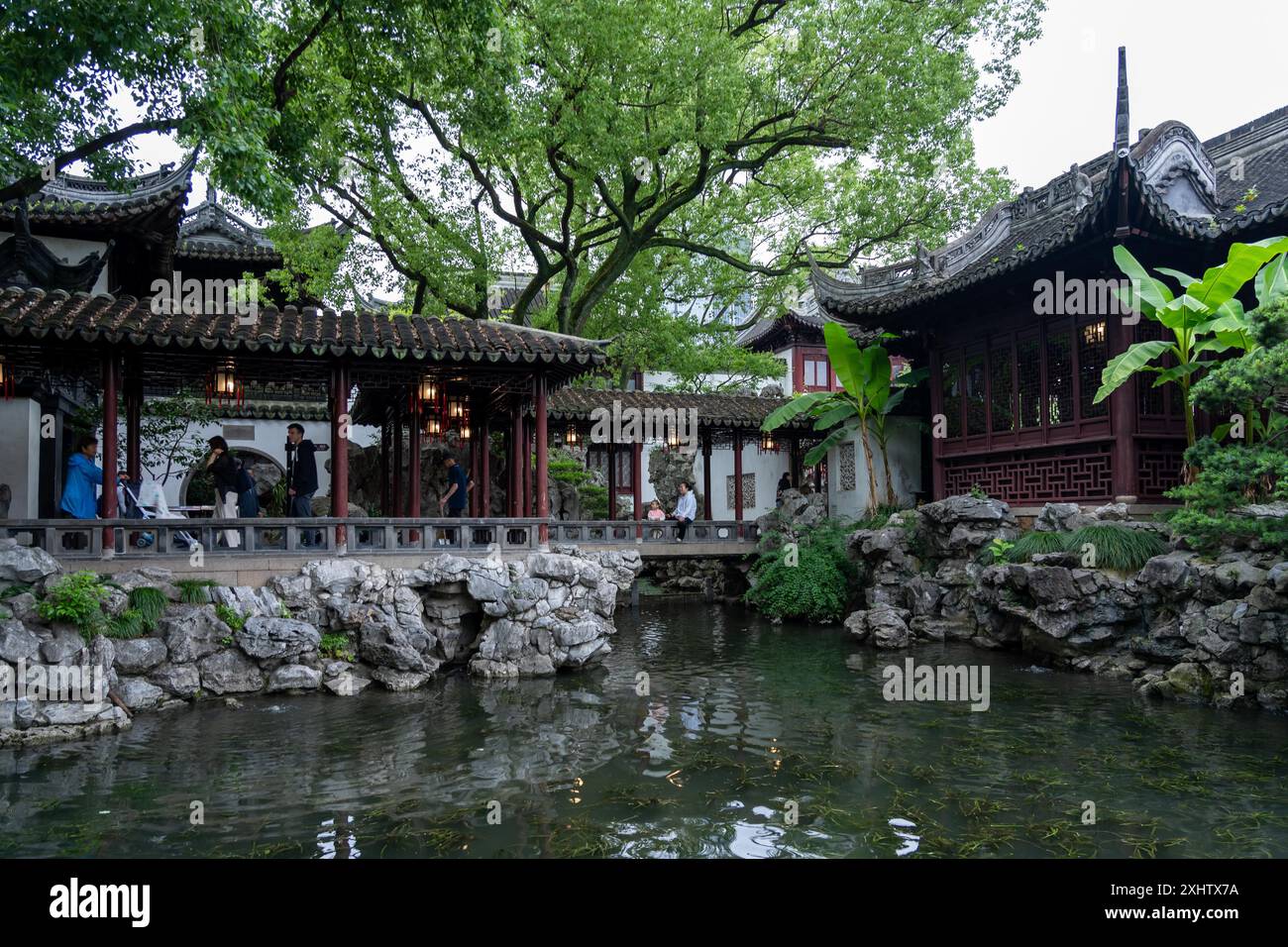 Shanghai, China - June 06, 2024 : A peaceful pond in Yu Garden ...