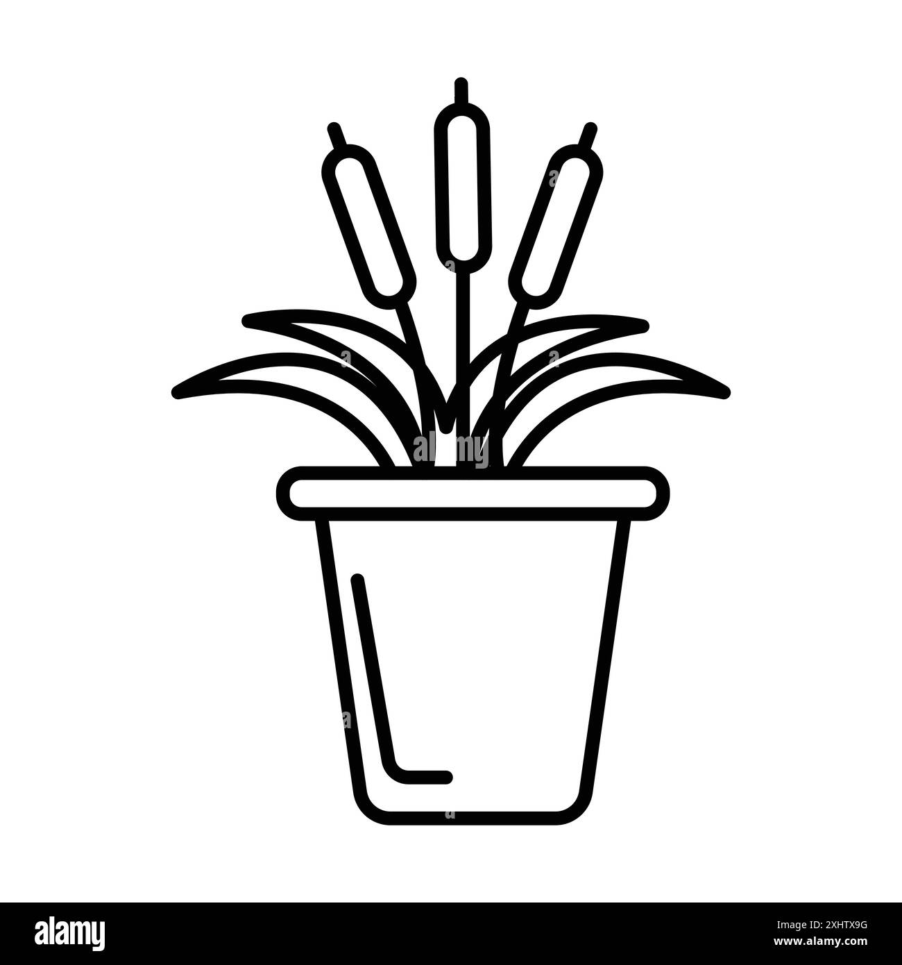 Cattail logo Black and White Stock Photos & Images - Alamy