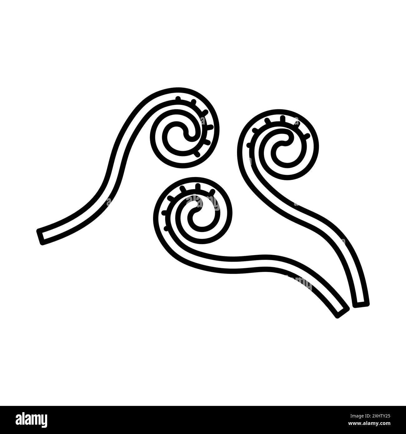 fiddleheads icon linear logo mark set collection in black and white for ...