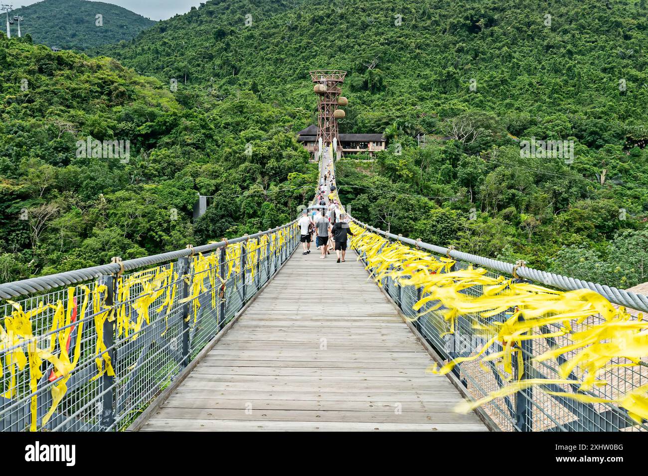 A long suspended wooden bridge in the forest park YaNoDa, A national ...