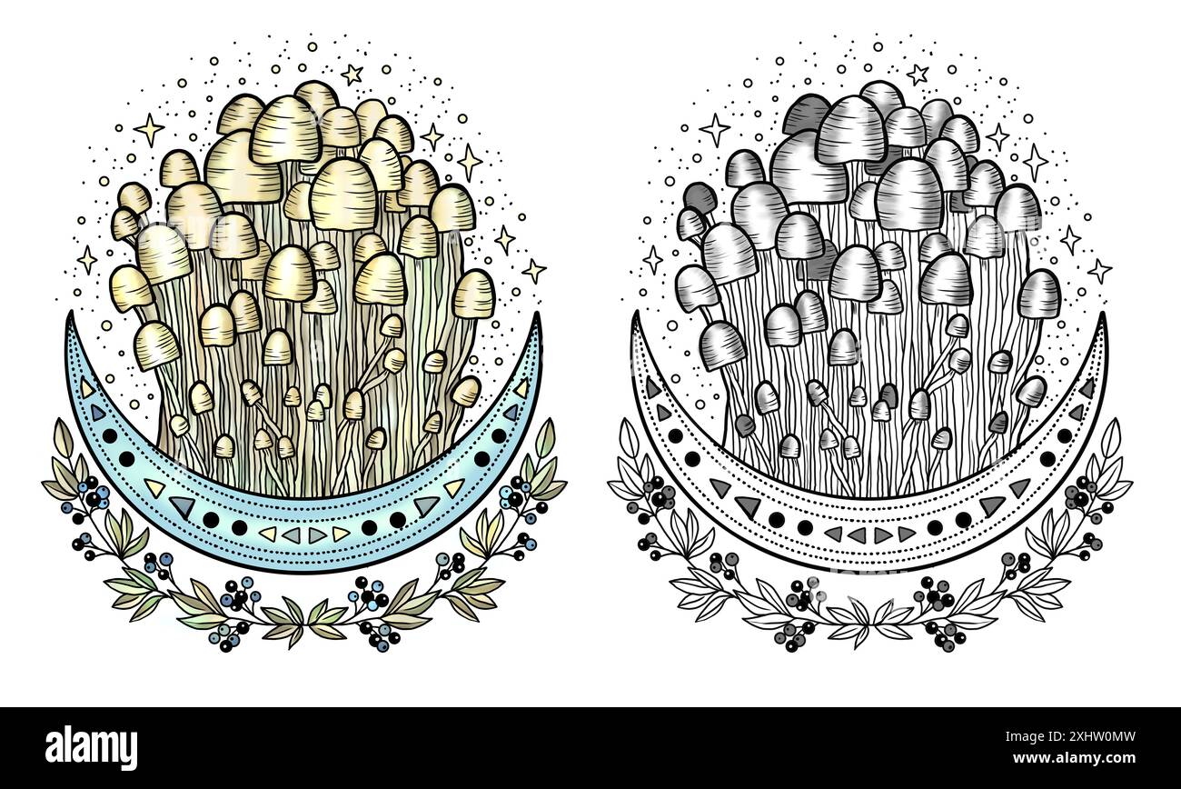 Celestial mystic mushrooms with magic and floral decorative design ...