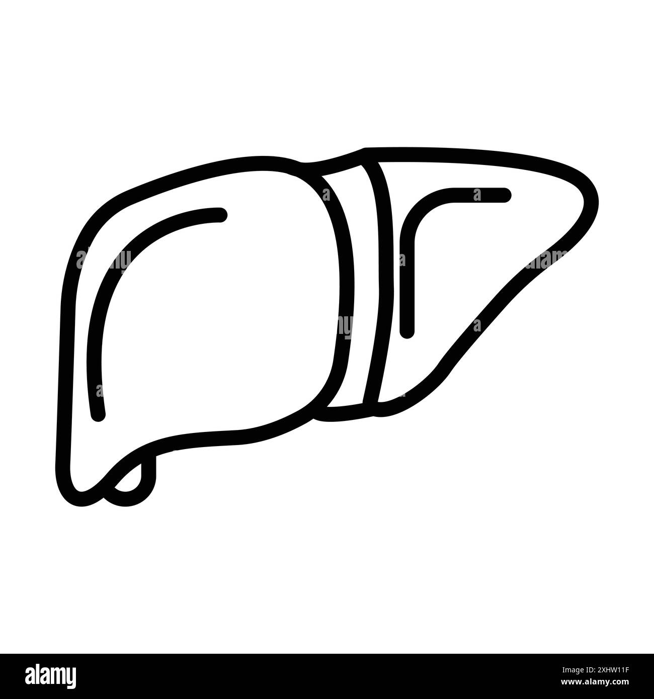 Liver Icon Linear Logo Mark Set Collection In Black And White For Web Stock Vector Image And Art