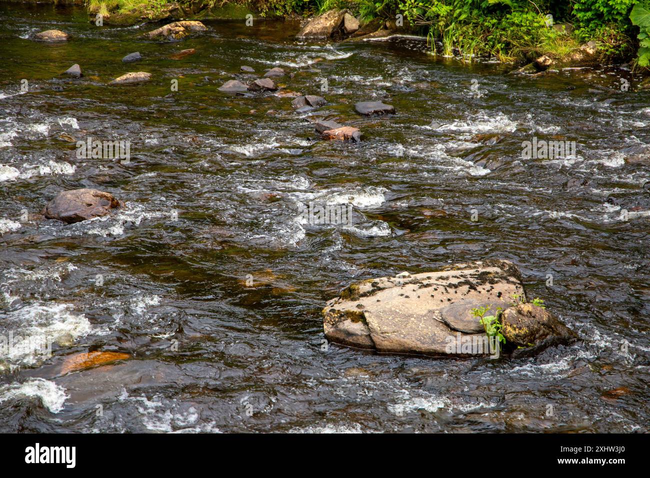Monschau is located in the hills of the North Eifel, within the Hohes ...
