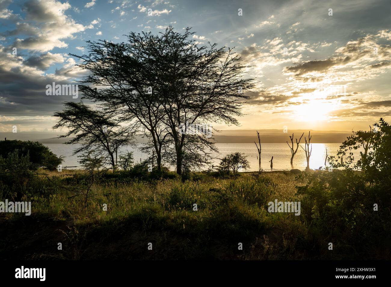 Beautiful African Landscape tree and Lake Nakuru in the Savannah at ...