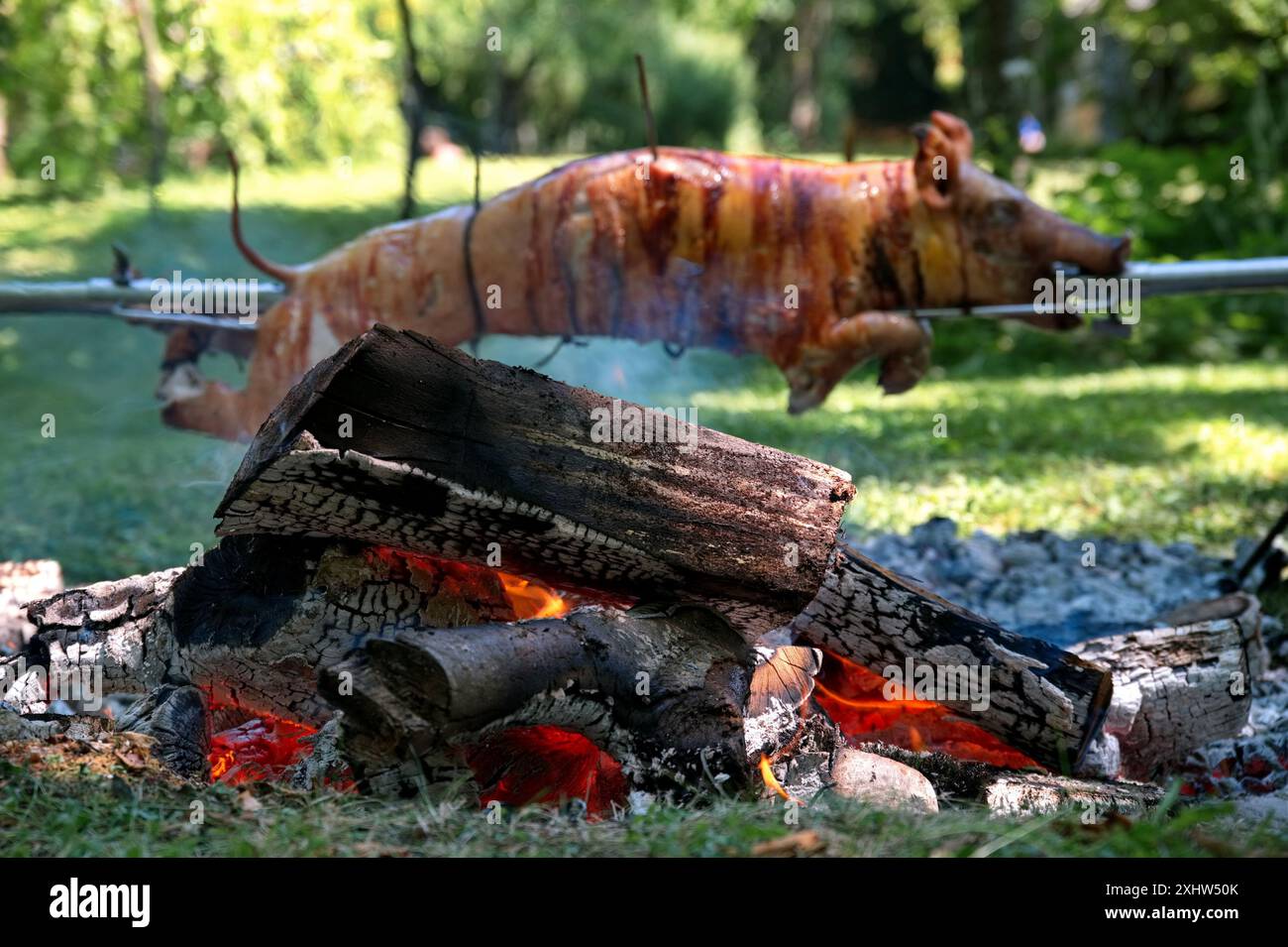 Whole pig roasted on a spit Stock Photo - Alamy