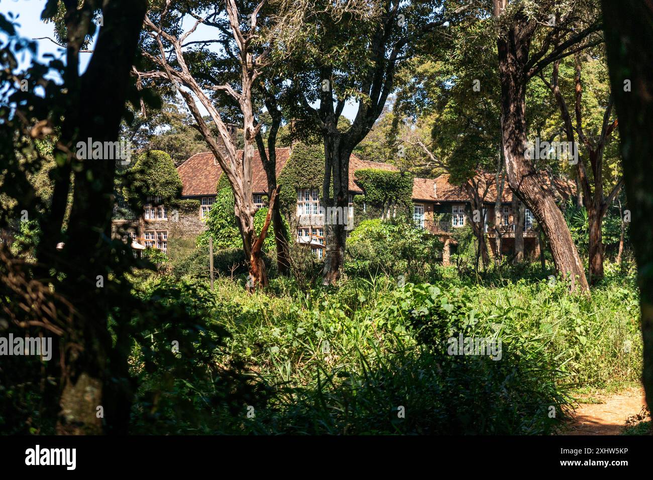 giraffe manor among the trees. The landmark of Nairobi, Kenya Stock ...