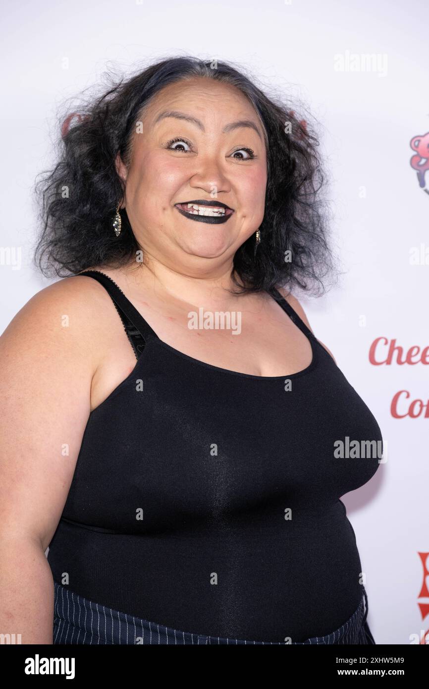 Hollywood, USA. 15th July, 2024. Comedian Lin Sun attends Get Loud ...