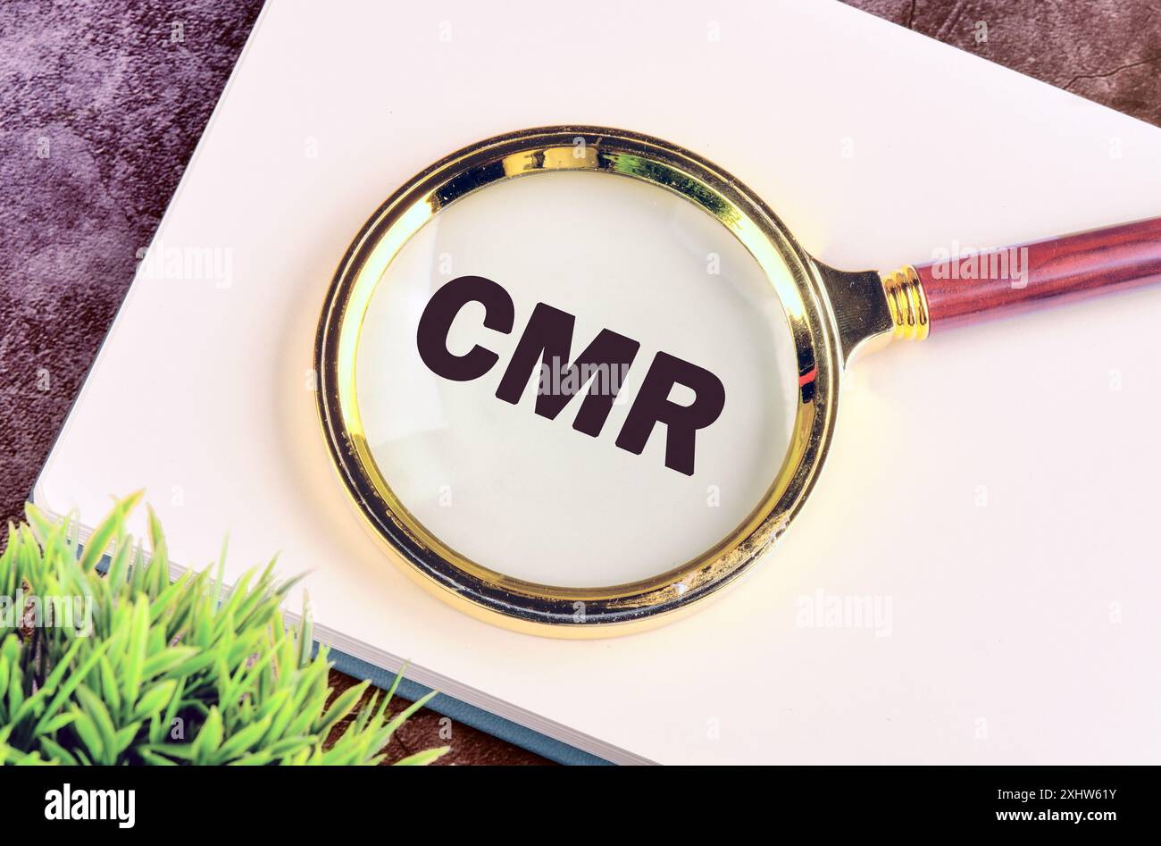 Business acronym, CMR Contract Management Review or Clear Motion Rate ...