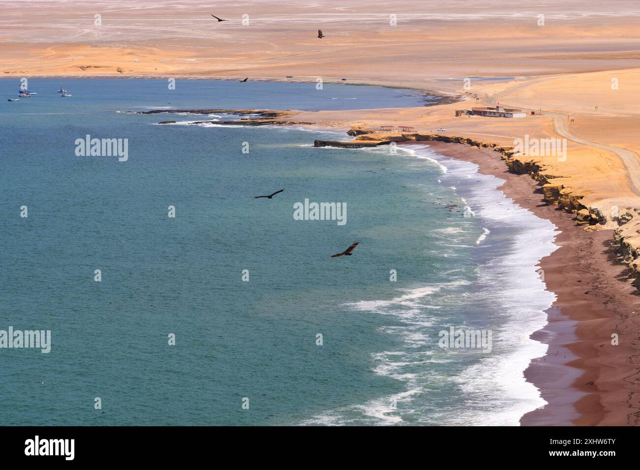 Paracas Reserve: Where Desert Meets Sea Stock Photo - Alamy