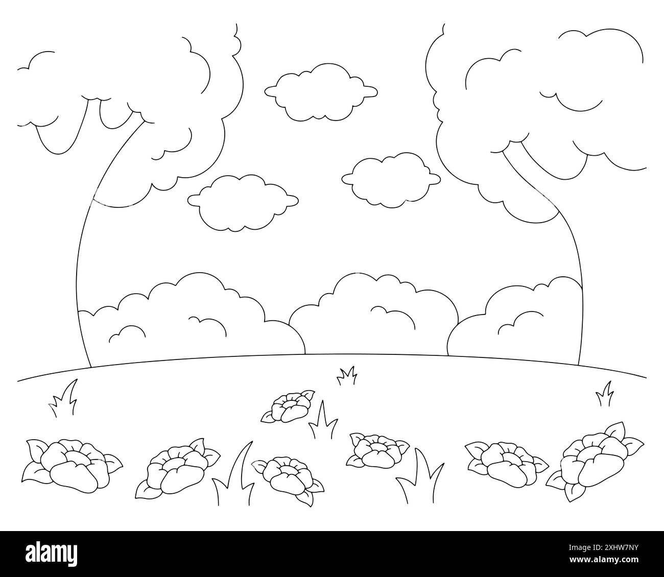 Colorless flowers hi-res stock photography and images - Alamy