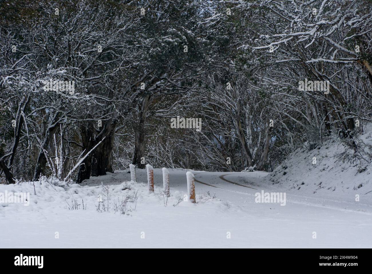 Australian alps snow hi-res stock photography and images - Alamy