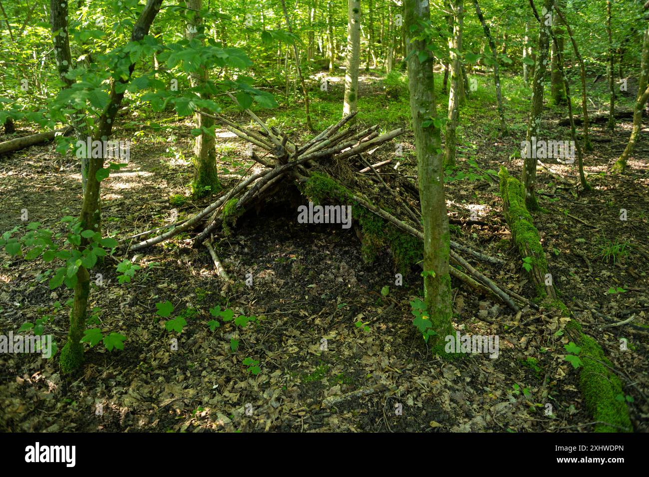 Small hut or shelter made of tree branches, sticks and twigs in a ...