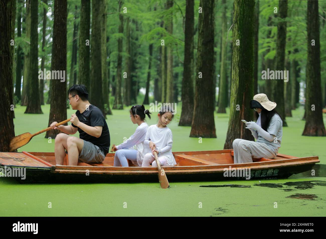 Aerial photo shows tourists visiting the water forest by boat at a ...