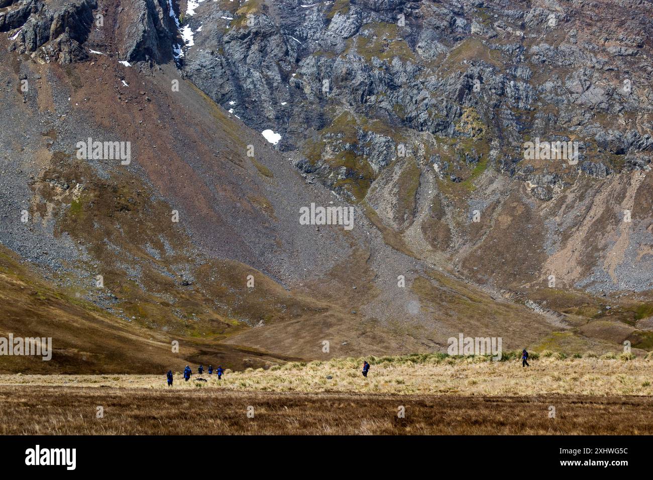 Walking on Godthul, South Georgia Island, Monday, November 27, 2023 ...