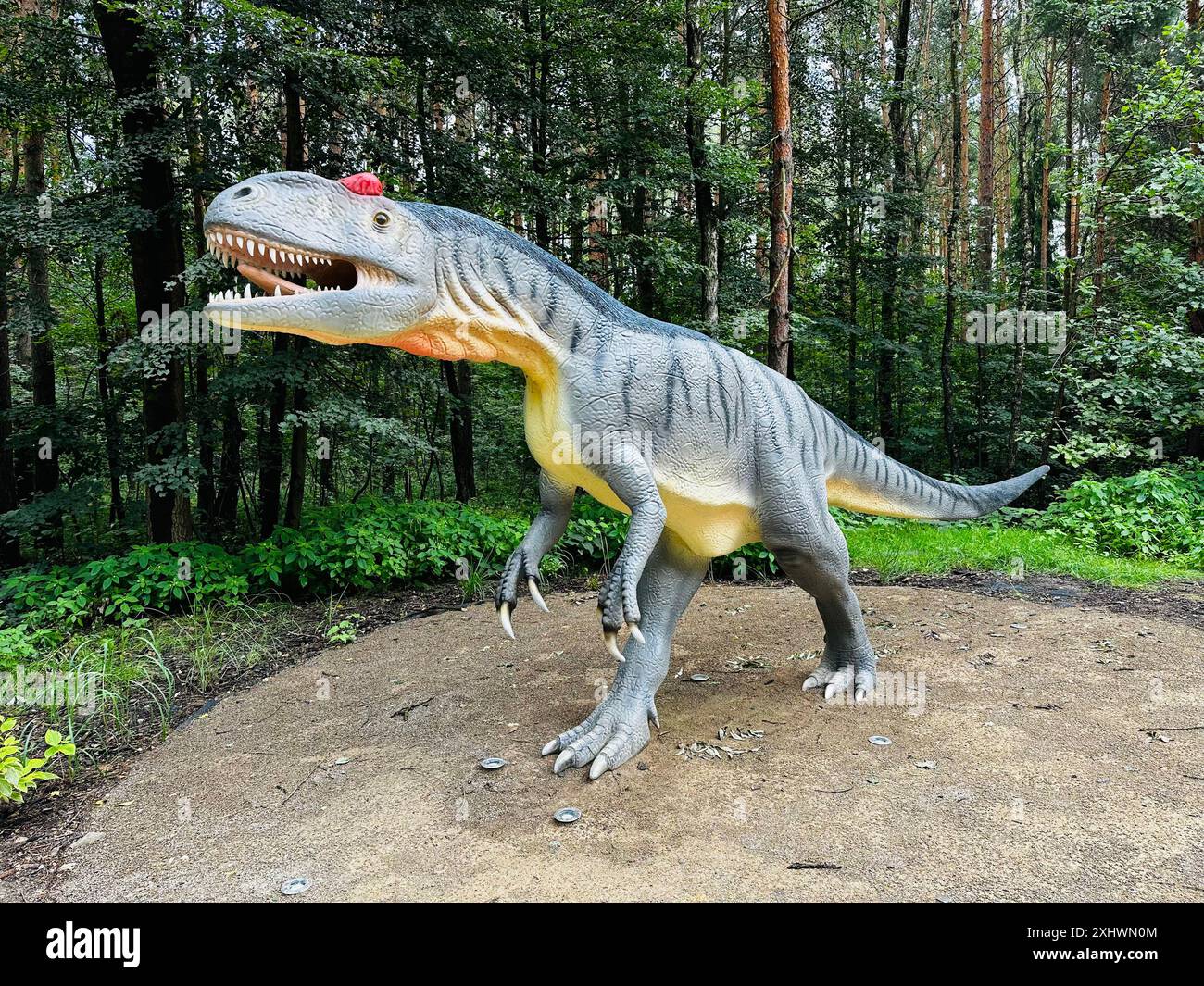 Realistic figure of an Allosaurus dinosaur inforest park in Kazimierz ...