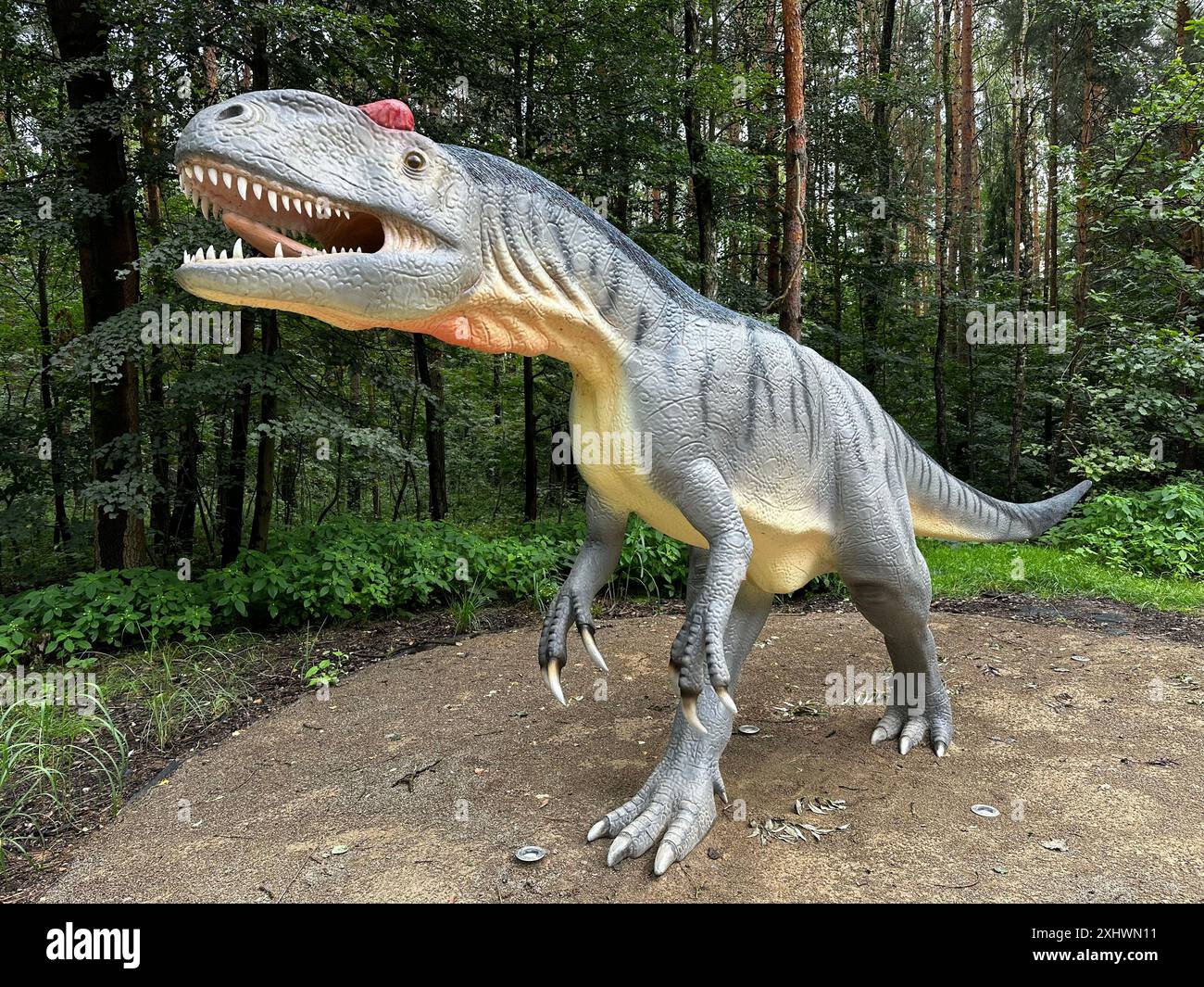 Realistic figure of an Allosaurus dinosaur inforest park in Kazimierz Sosnowiec. Prehistoric ...
