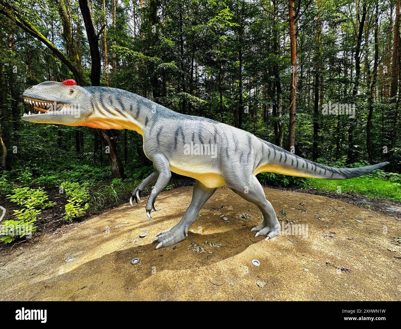 Realistic figure of an Allosaurus dinosaur inforest park in Kazimierz Sosnowiec. Prehistoric ...