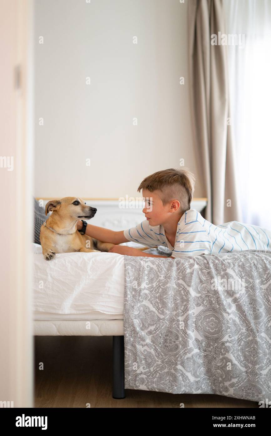 Child petting dog hi-res stock photography and images - Alamy