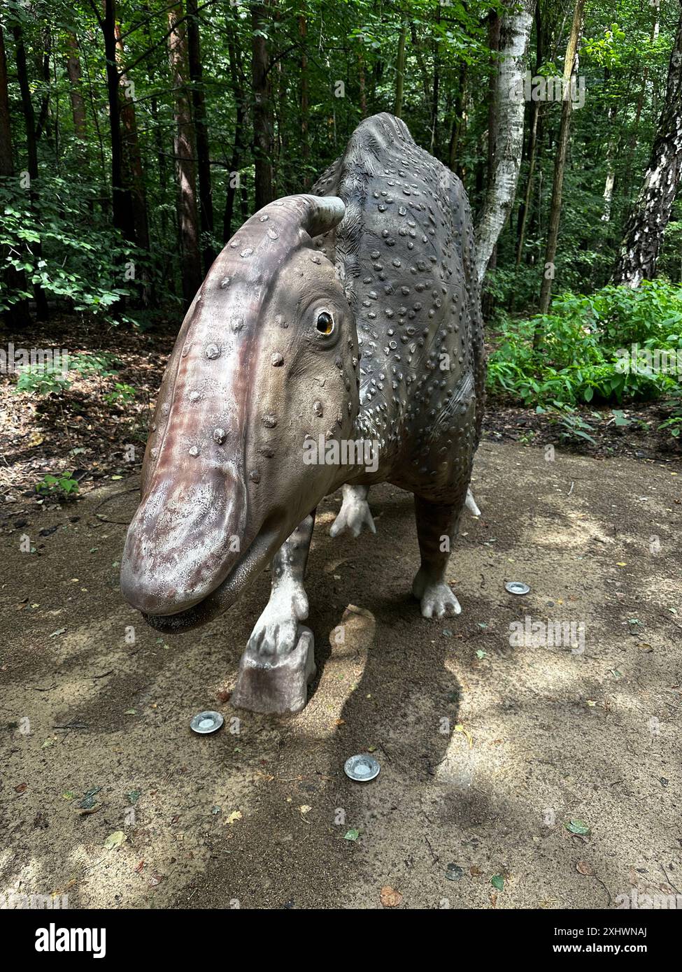 Realistic figure of an Zaurolof dinosaur inforest park in Kazimierz Sosnowiec. Prehistoric ...