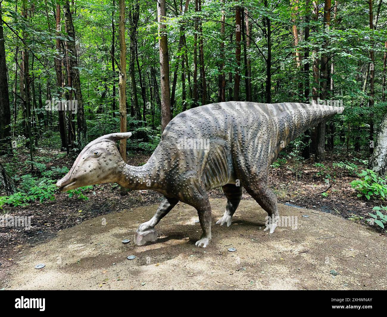 Realistic figure of an Zaurolof dinosaur inforest park in Kazimierz Sosnowiec. Prehistoric ...