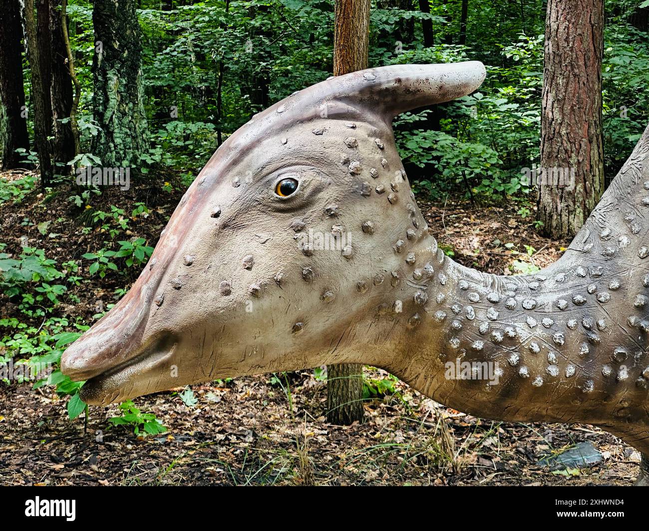 Realistic figure of an Zaurolof dinosaur inforest park in Kazimierz Sosnowiec. Prehistoric ...