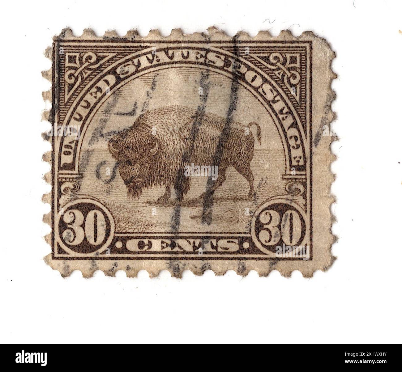 A vintage buffalo postage stamp from the USA on a white background ...