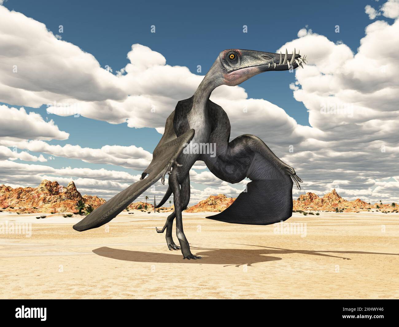 Pterosaur Dorygnathus in a desert landscape Stock Photo - Alamy