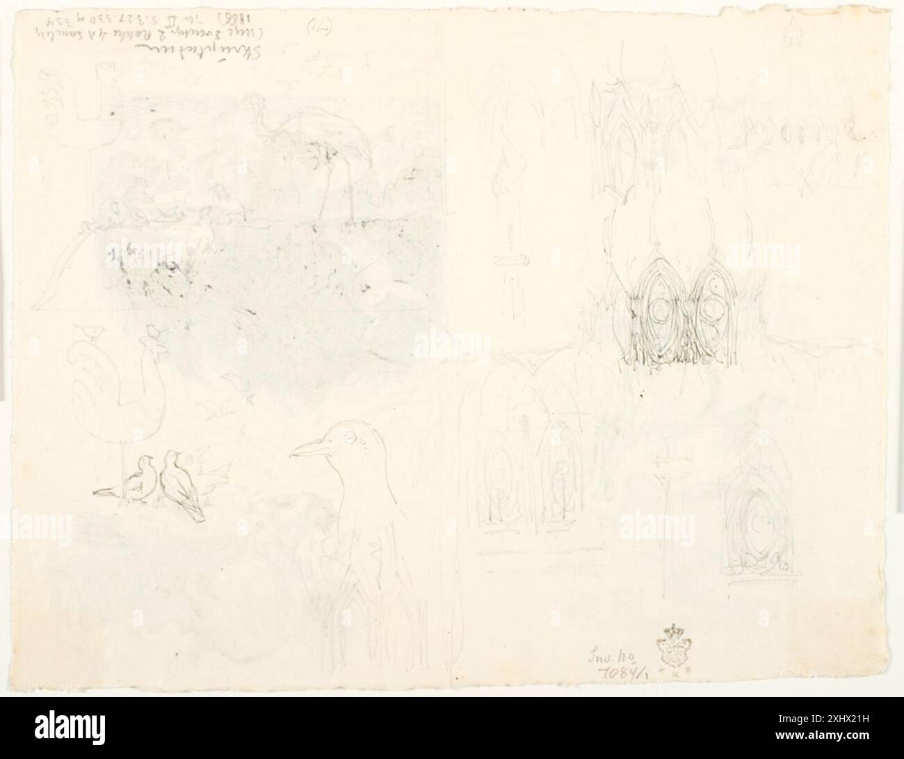 Birds and architecture. Illustration Draft H.C. Andersen, Skrubtudsen ...