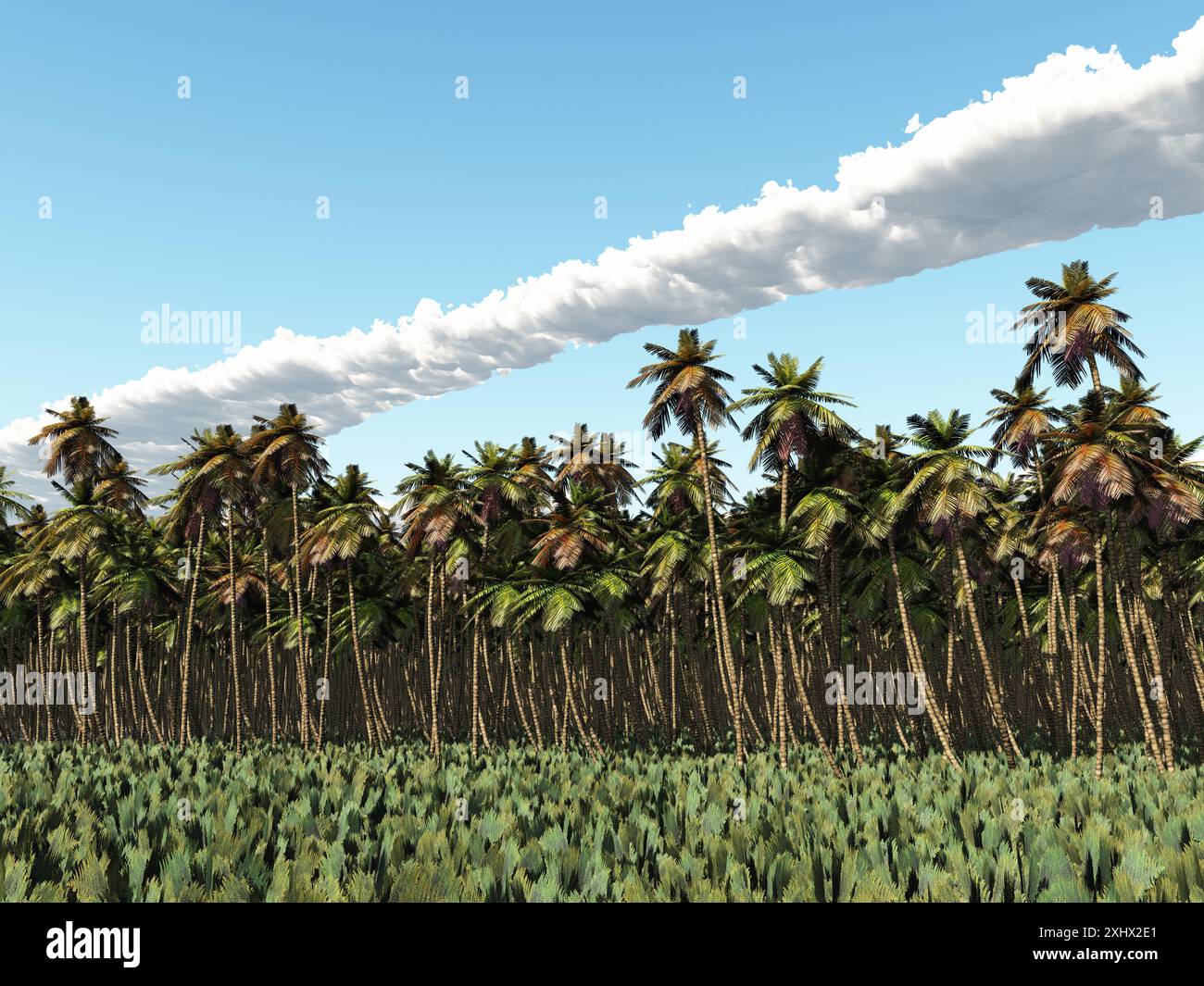 Tropical landscape with palm trees Stock Photo - Alamy