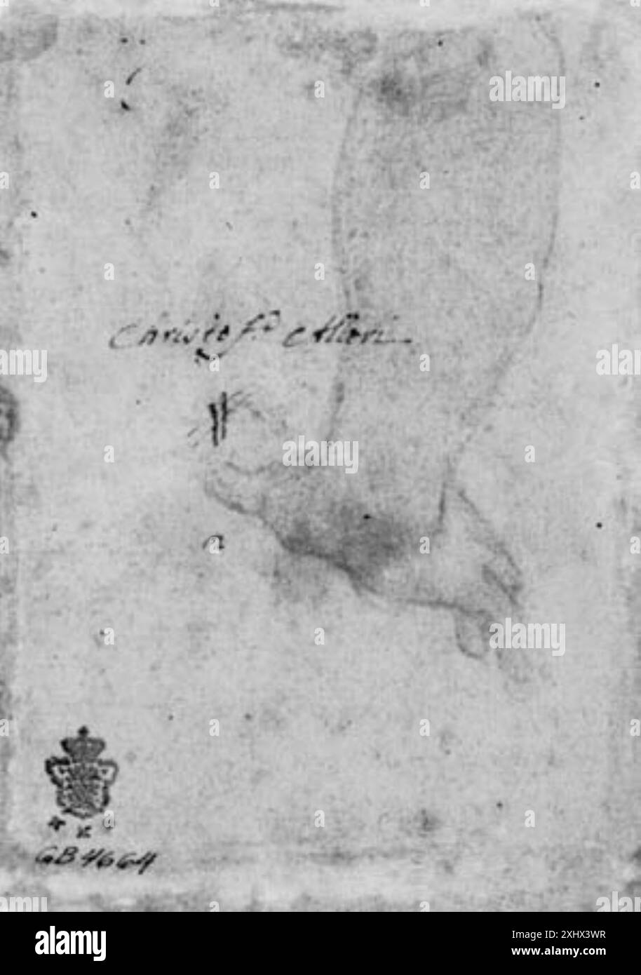 Drawing by Santi di Tito depicting the lower part of a right human arm ...
